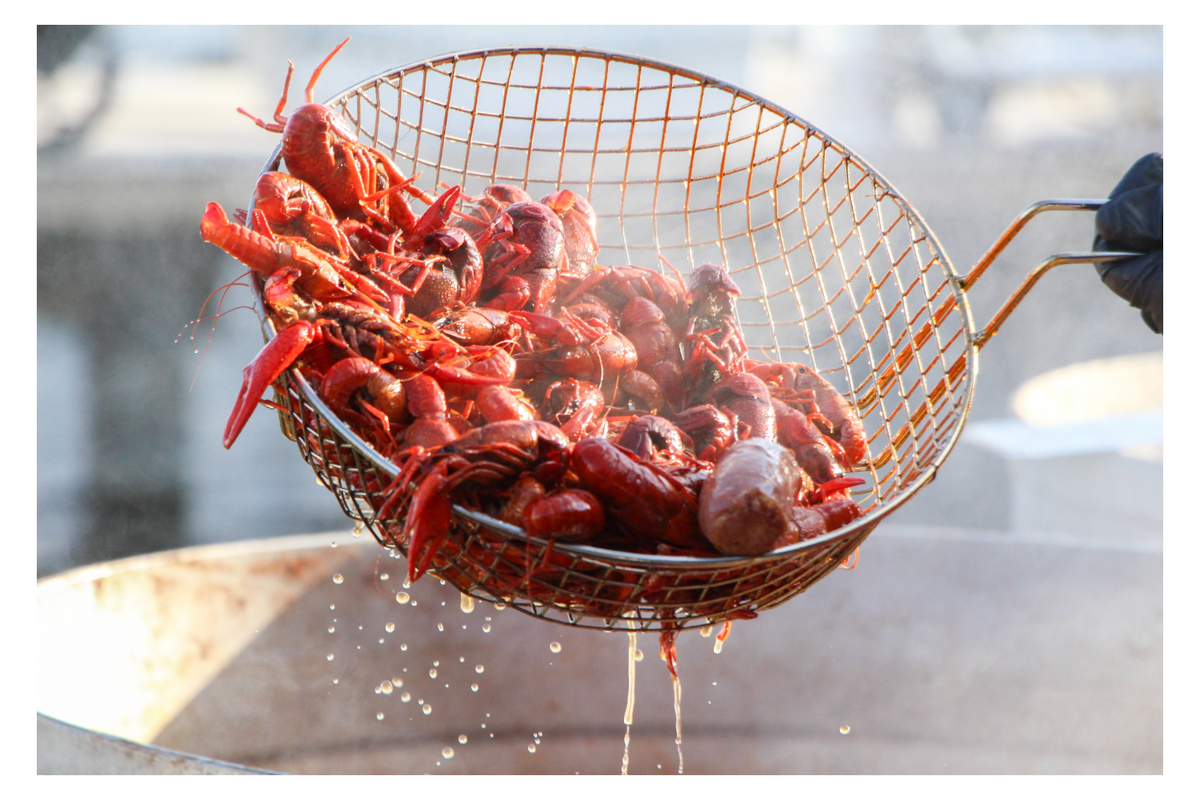 Home | South Coast Seafood | Nashville TN