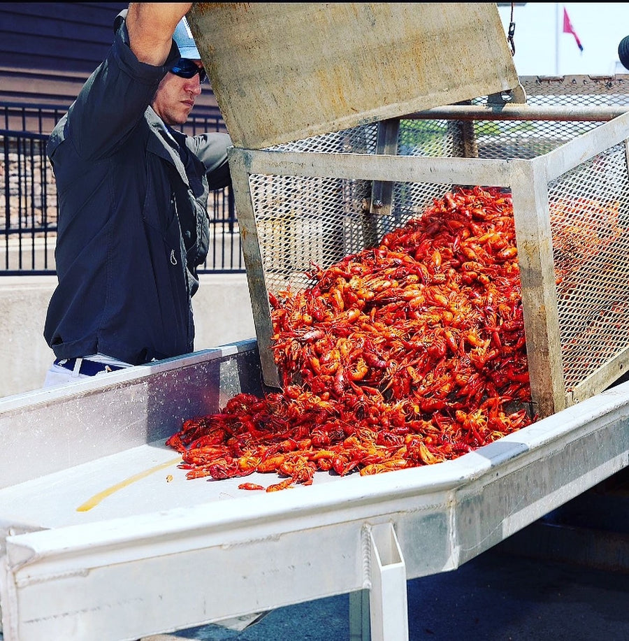 Private Catering | South Coast Seafood | Nashville TN