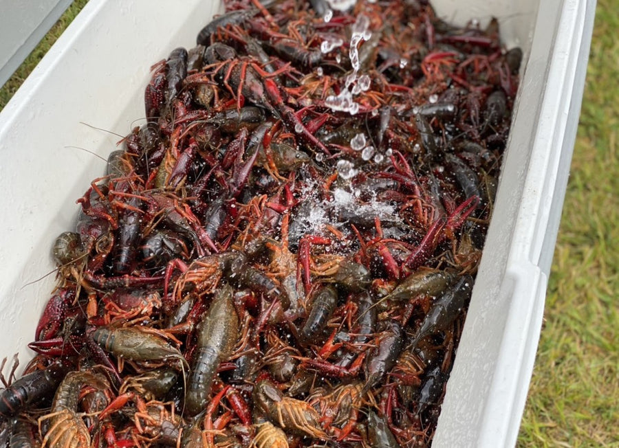 Private Catering | South Coast Seafood | Nashville TN