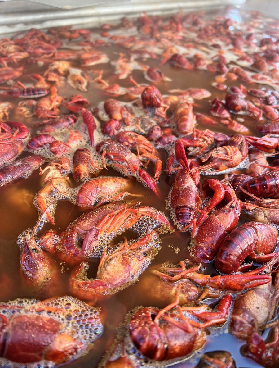 Private Catering | South Coast Seafood | Nashville TN